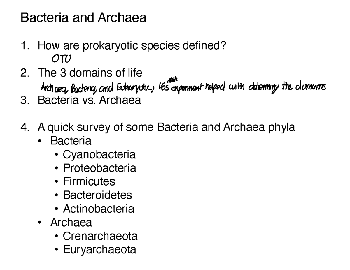 Prokaryotic Diversity: Bacteria & Archaea Overview (BIOL 101 Notes ...