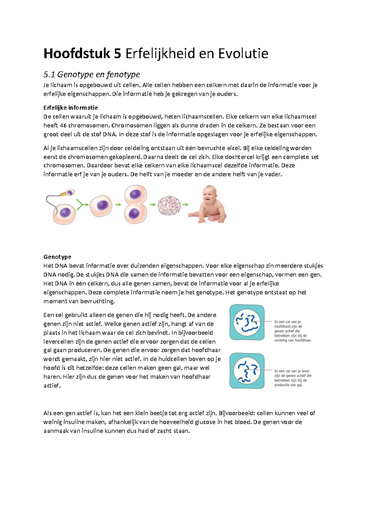 Hoofdstuk 5: Erfelijkheid en Evolutie - Biologie 101 - Studeersnel