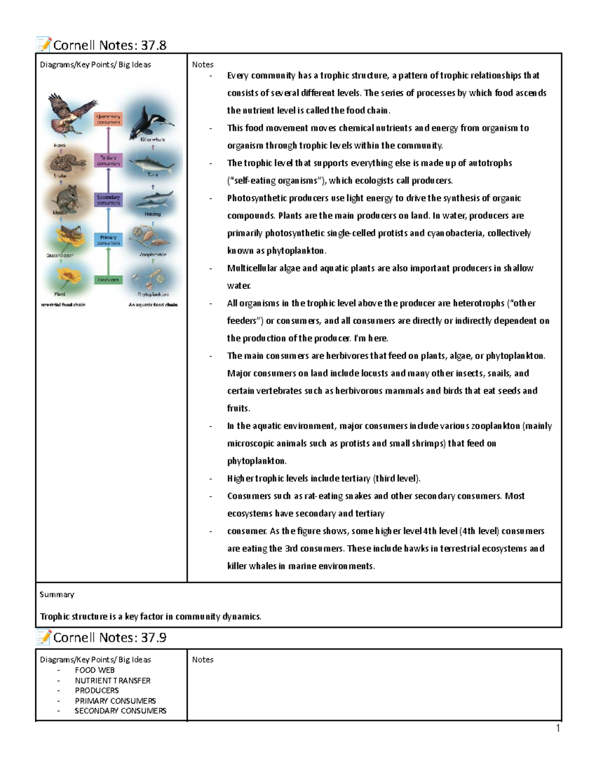 BIO Honors Chapter 17: Trophic Structures & Energy Flow Notes - Studocu