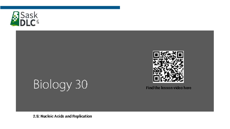 Biology 30 Lesson 5: Nucleic Acids & Replication Notes - Studocu