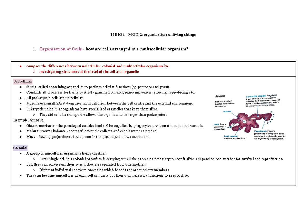 11BIO4 MOD 2: Organisation of Living Things - Cells & Their Functions ...
