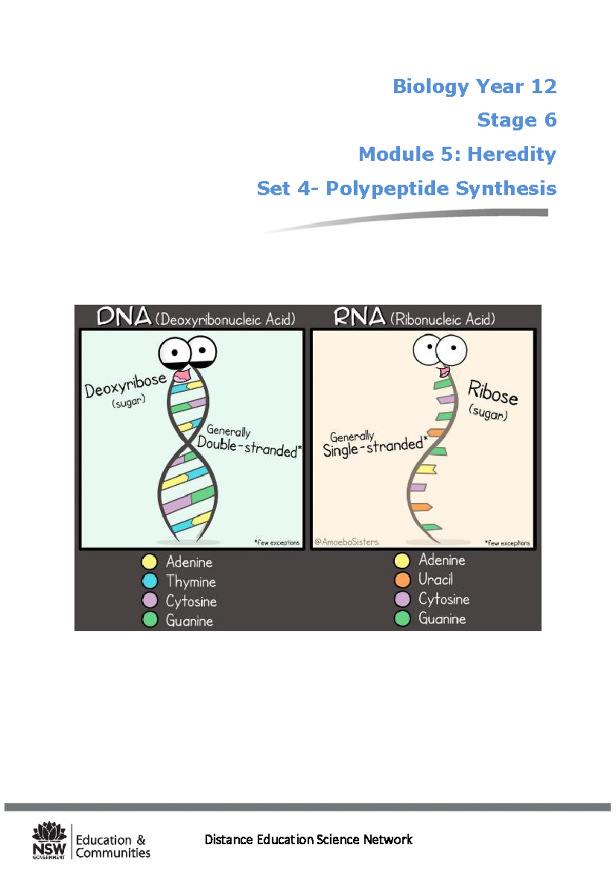 Biology Year 12 Module 5: Heredity - Polypeptide Synthesis - Studocu