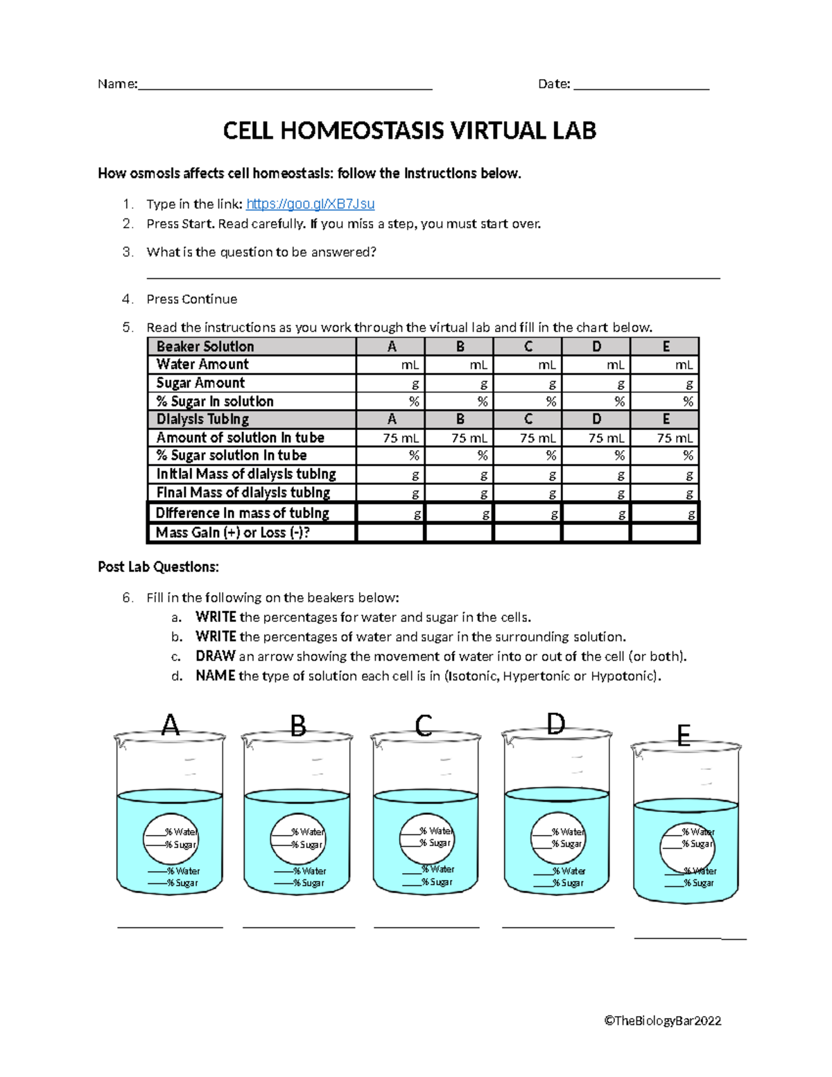 Cell Homeostasis Virtual Lab Student Copy - A B C D E Name: Date: CELL ...