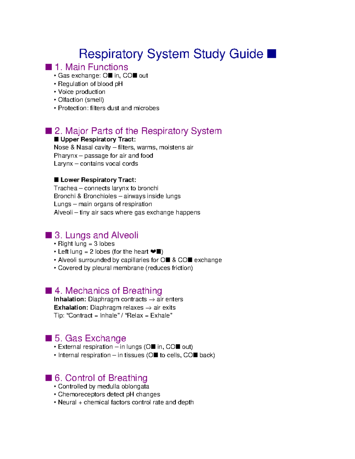 Respiratory System Study Guide: Key Functions & Anatomy - Studocu
