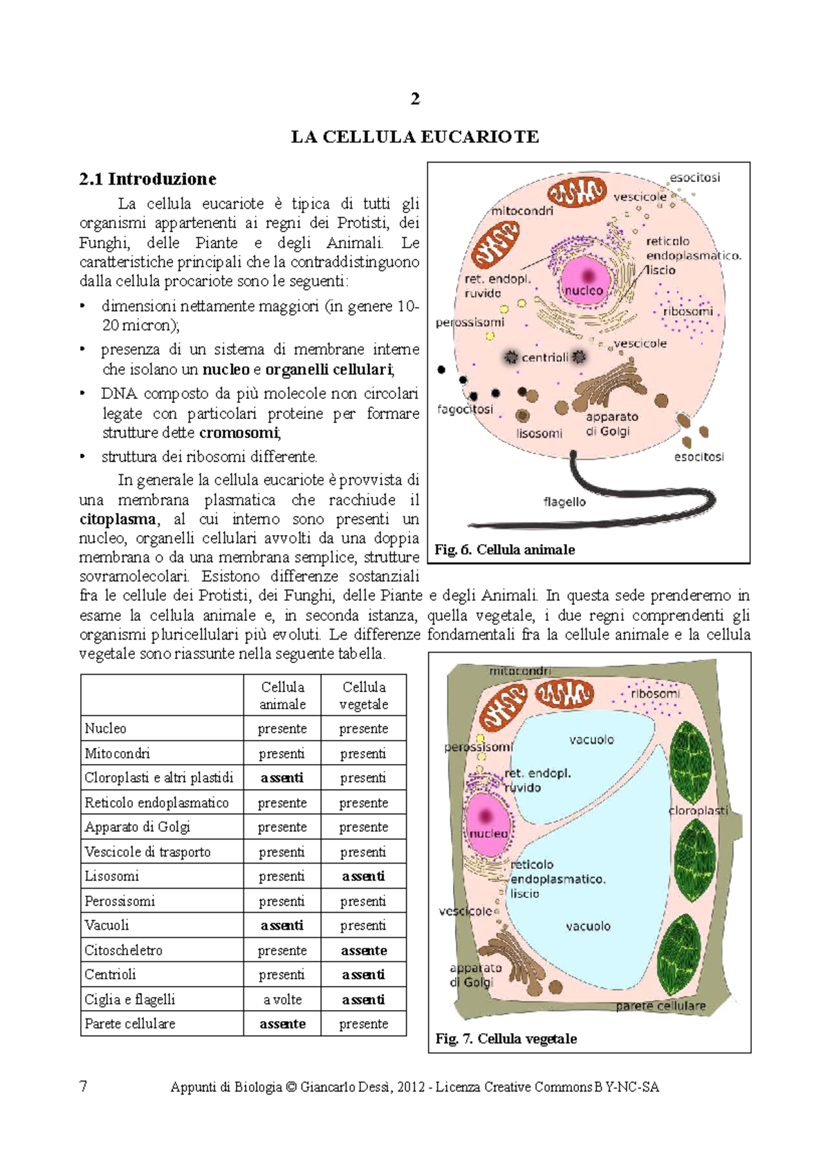 2 LA CELLULA EUCARIOTE: Struttura e Funzioni Principali - Studocu