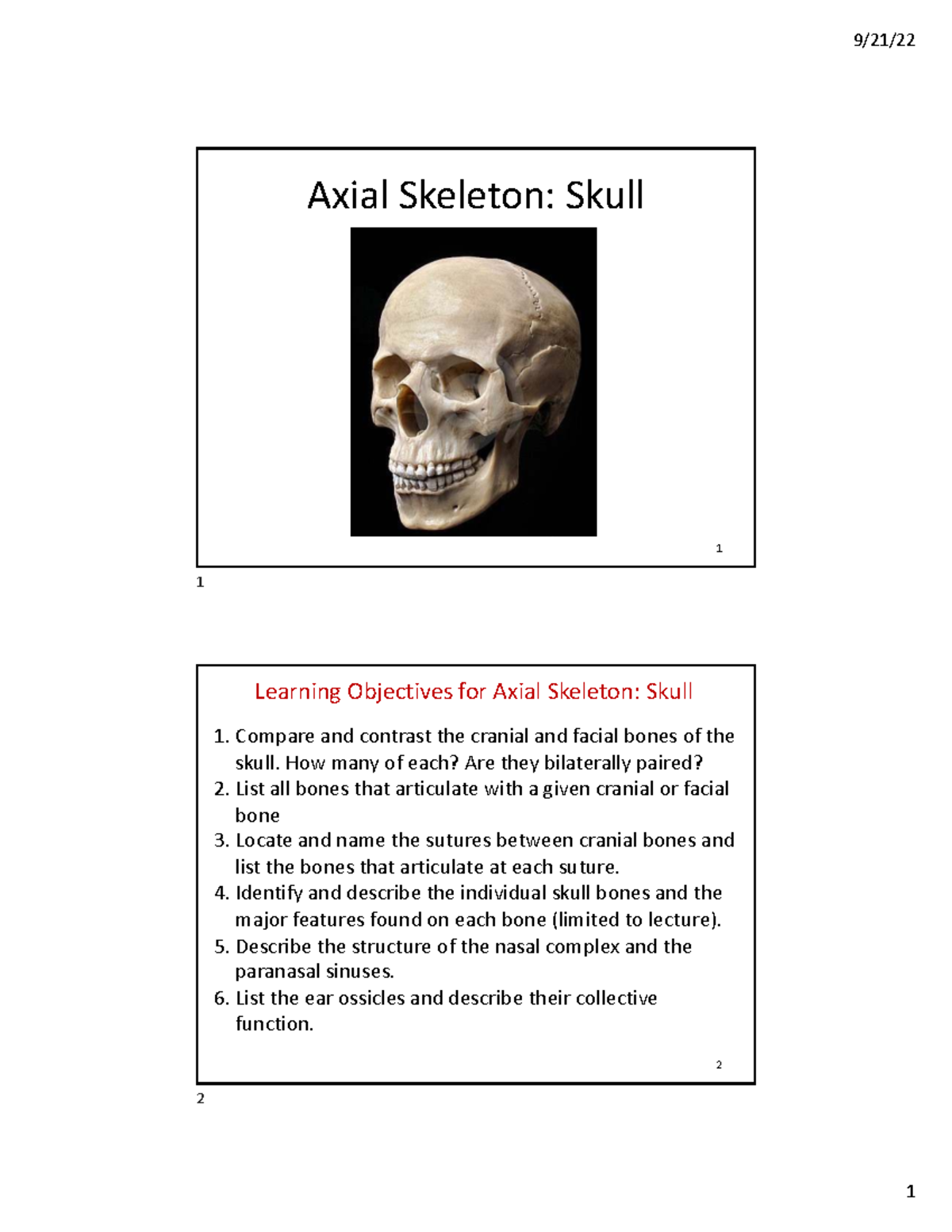 Lecture 6: Axial Skeleton & Skull Overview - Anatomy Notes - Studocu