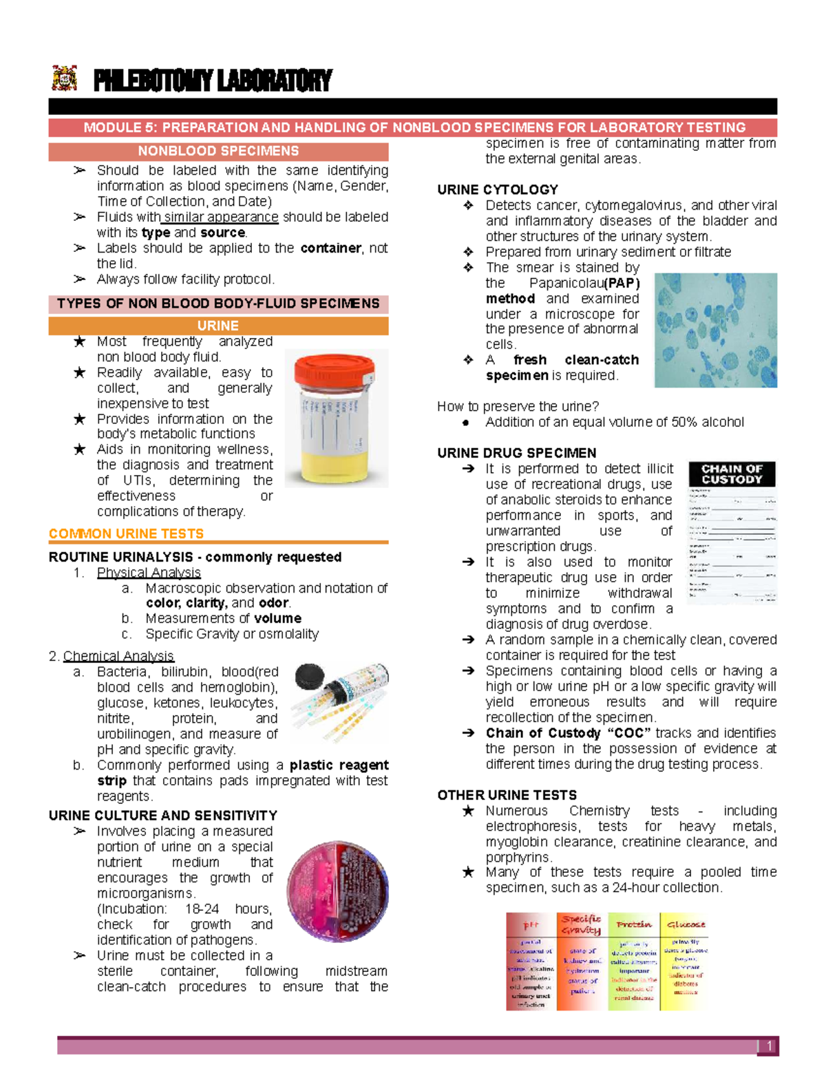 PHLEBOTOMY Lab Final Exam: Handling Nonblood Specimens for Testing ...