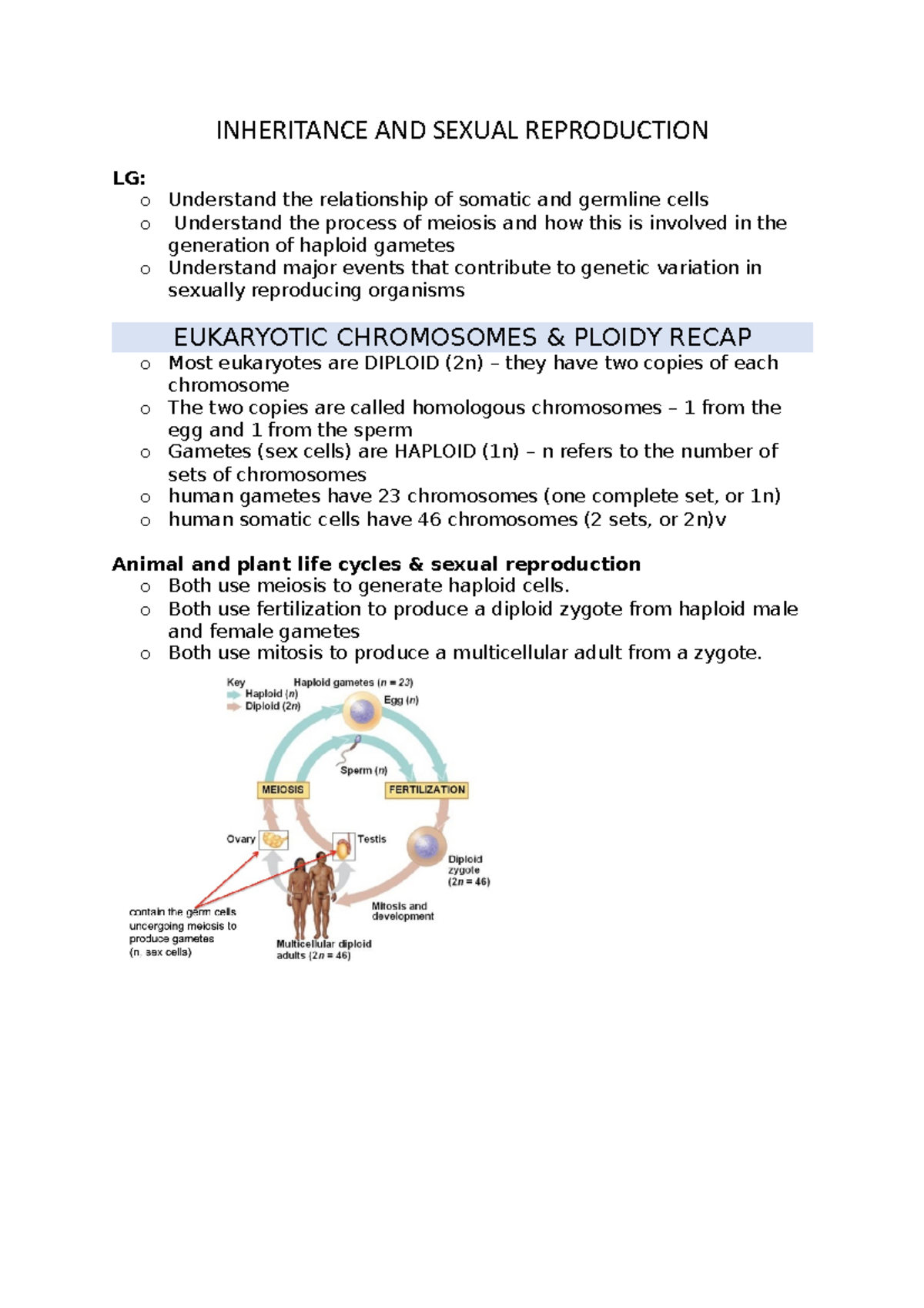 LEC - Inheritance AND Sexual Reproduction - INHERITANCE AND SEXUAL ...