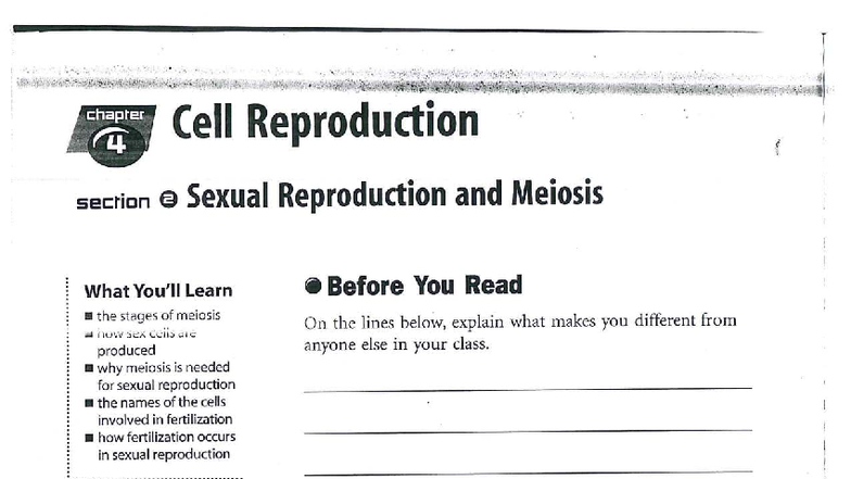 Reading+worksheets+Meiosis - A h Cell Reproduction secrion Sexual ...