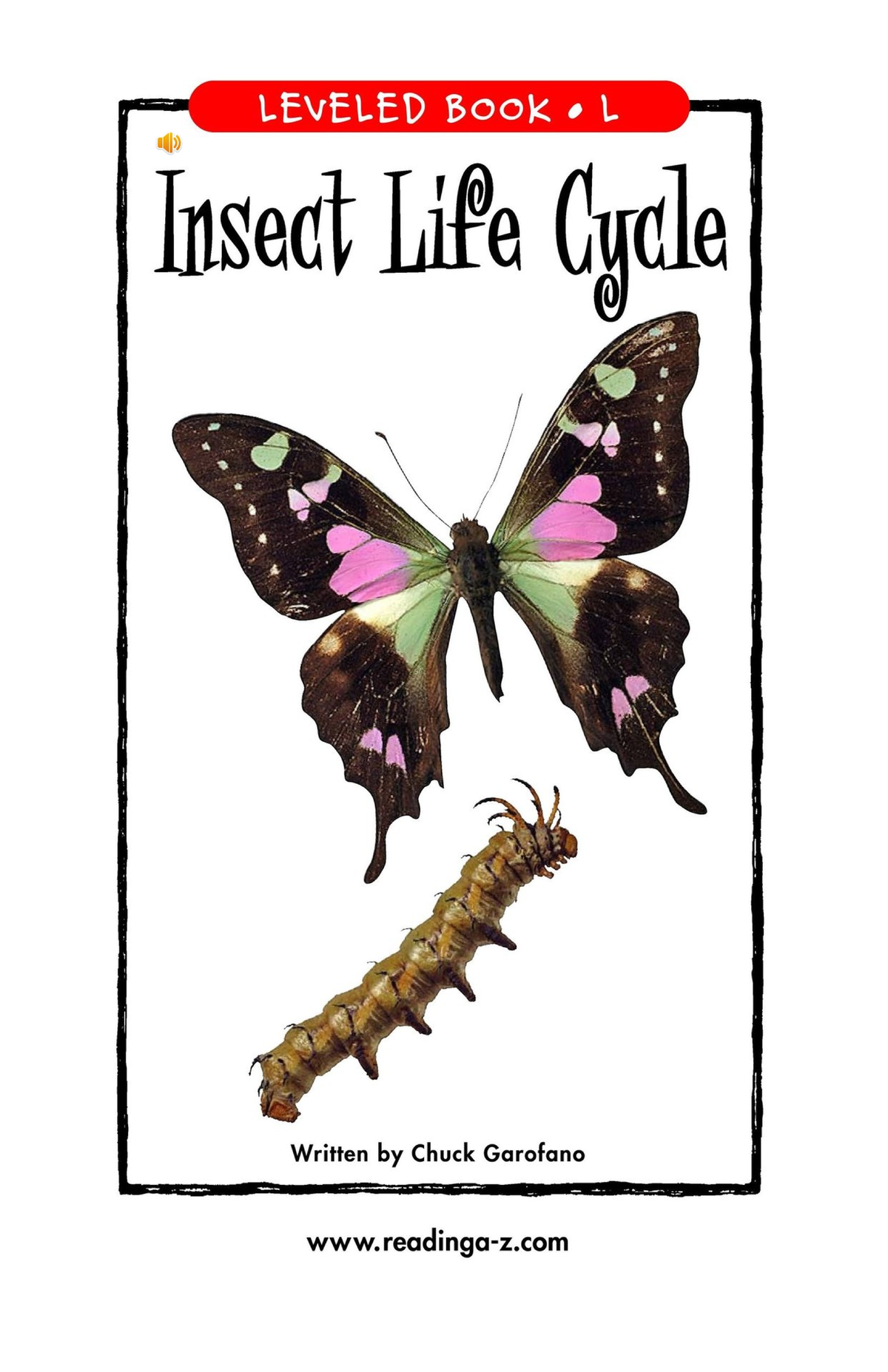 Insect Life Cycle - asfasdfasdfasdf - LEVELED Book L Insect Life Cycle ...