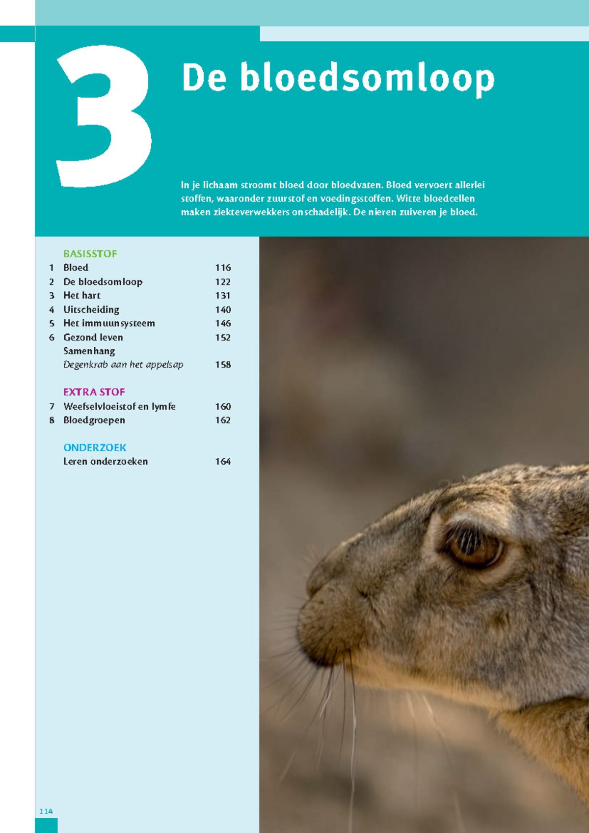 BVJ - Antwoorden - Hoofdstuk 3: Bloedsomloop en Functies van Bloed - Studeersnel