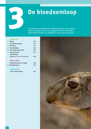 Experiment - Spanning, rek-diagram en de treksterkte van een elastiekje ...