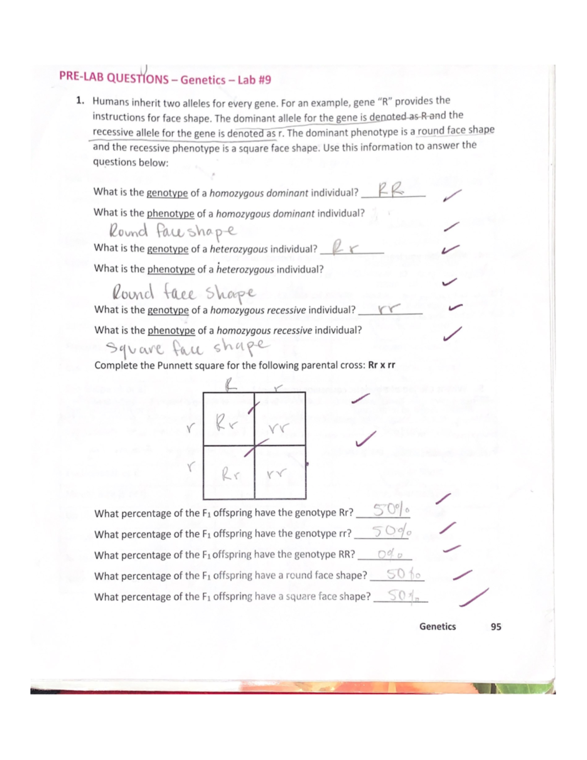 Genetics Lab#9 - Pre and Post lab questions, as well as the data ...