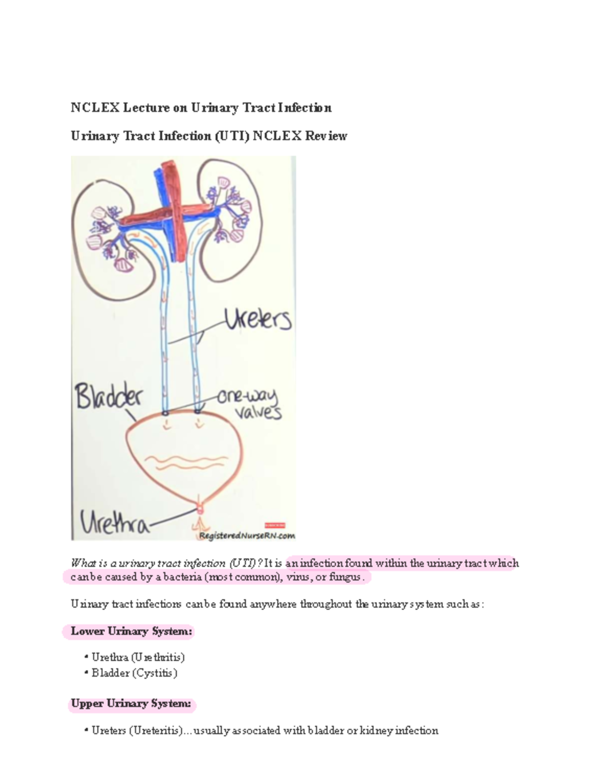 NCLEX Lecture: Understanding Urinary Tract Infections (UTIs) - Studocu