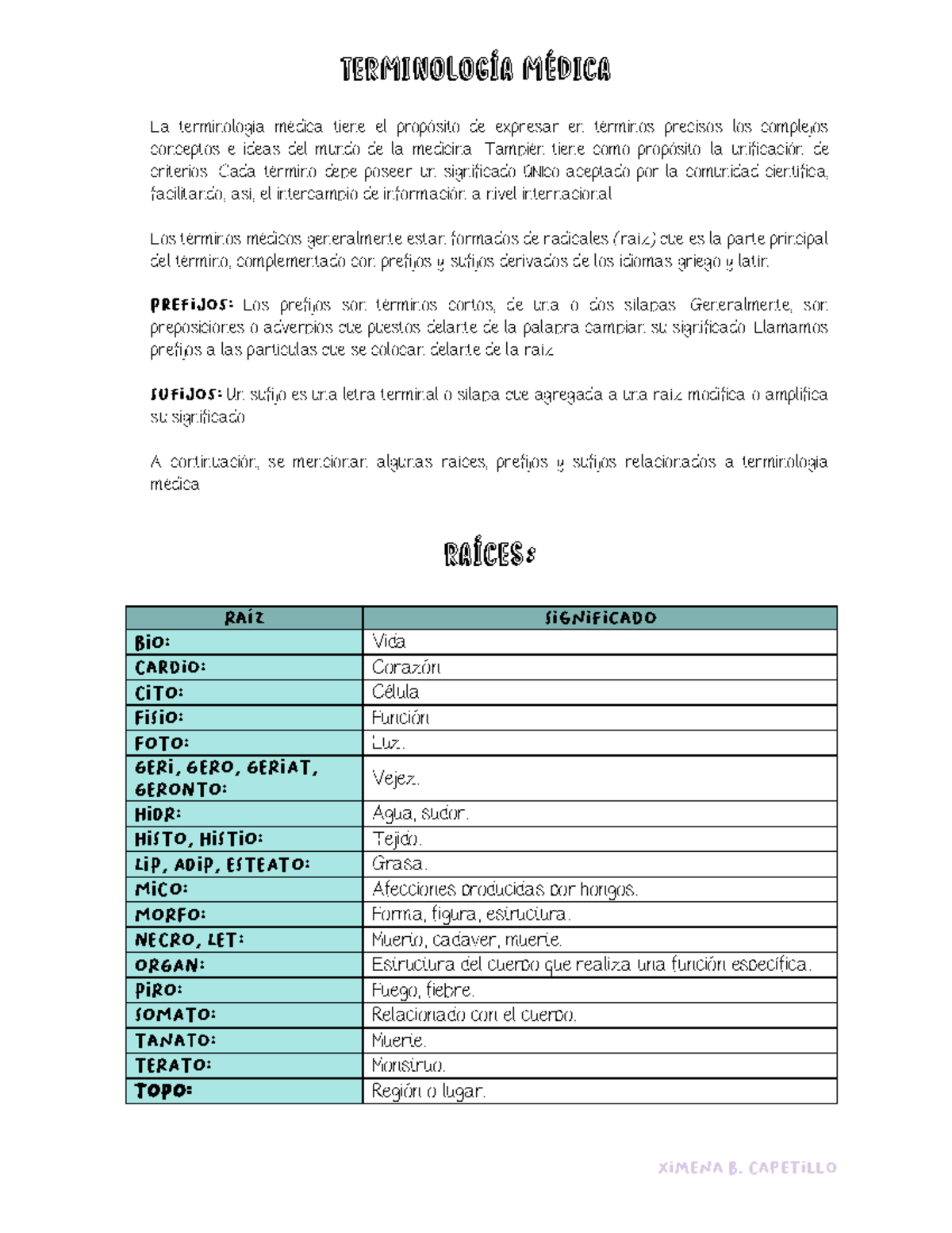 Terminología