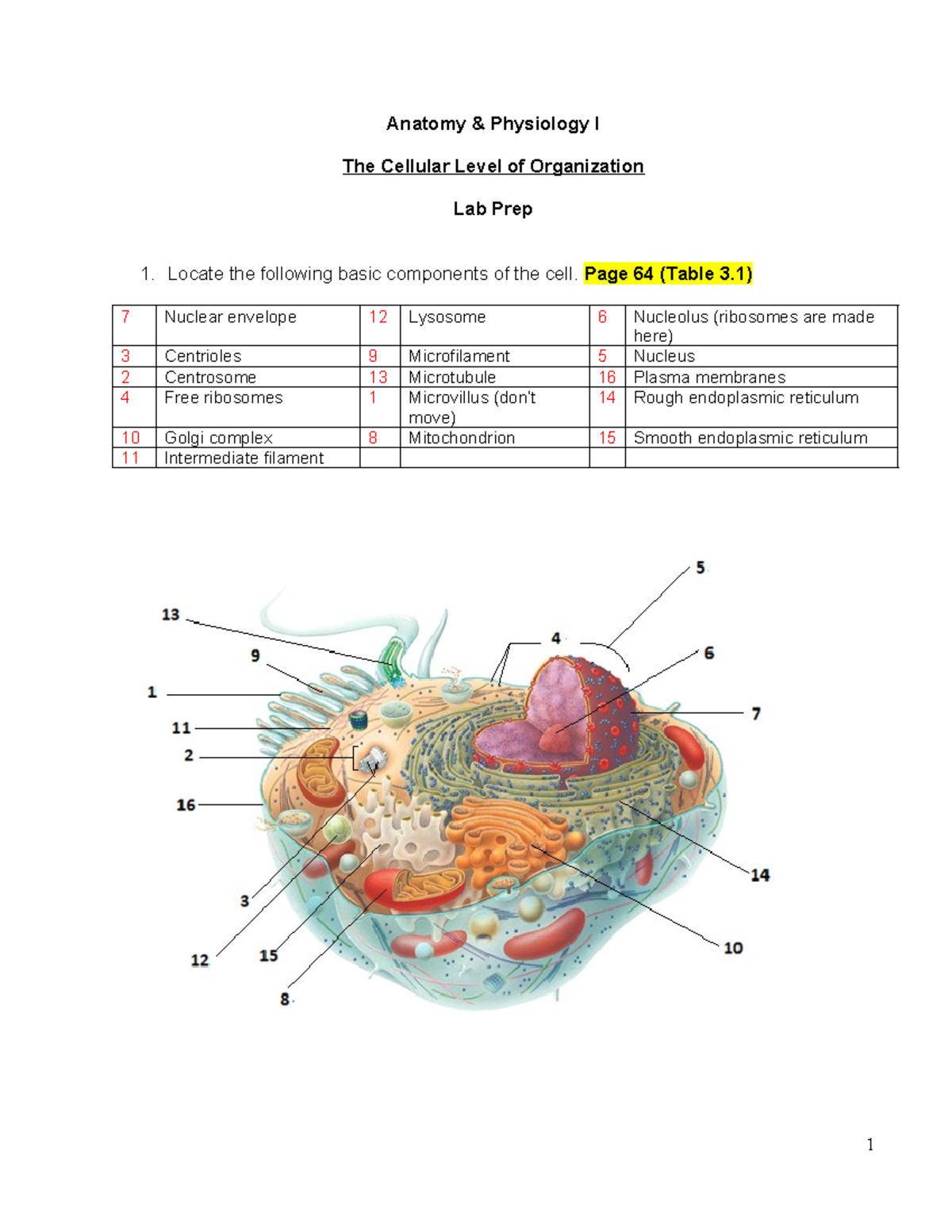 Lab Prep for Anatomy & Physiology I: Cellular Components Overview - Studocu