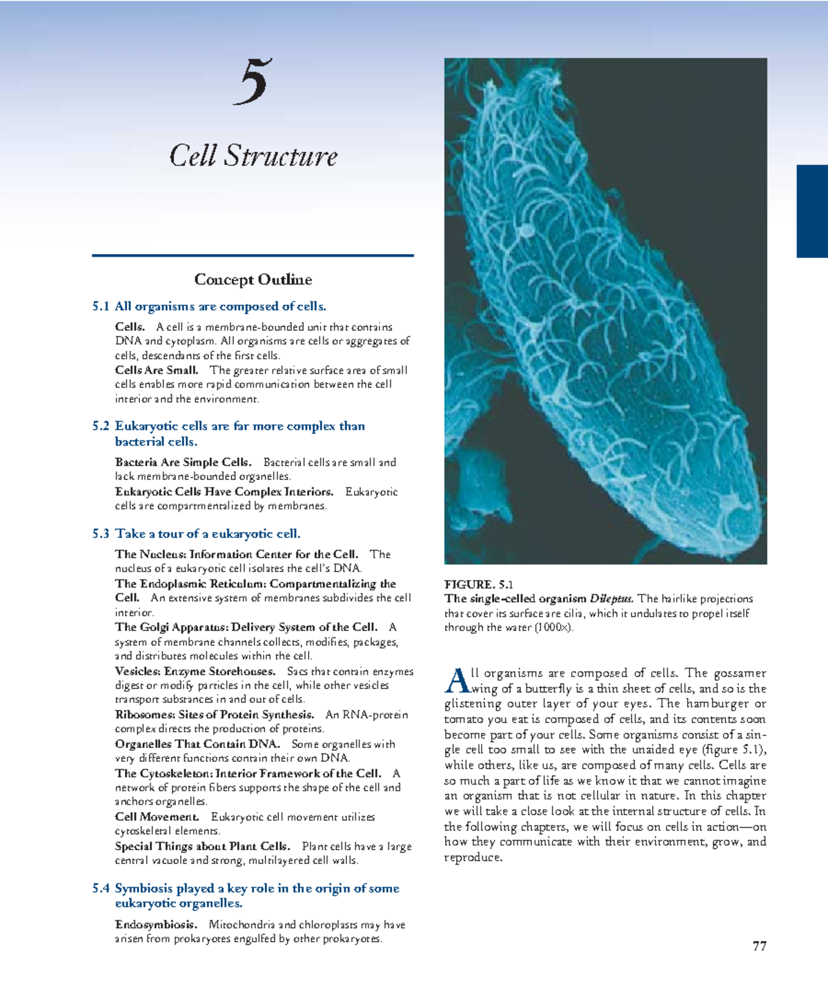 Chapter 5: Cell Structure and Organelles Overview - Raven Biology - Studocu