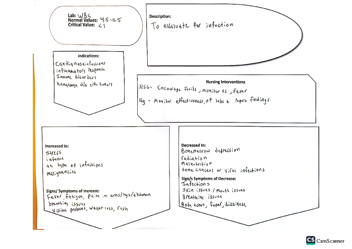 WBC Lab Report: Normal Values, Nursing Interventions & Conditions - Studocu