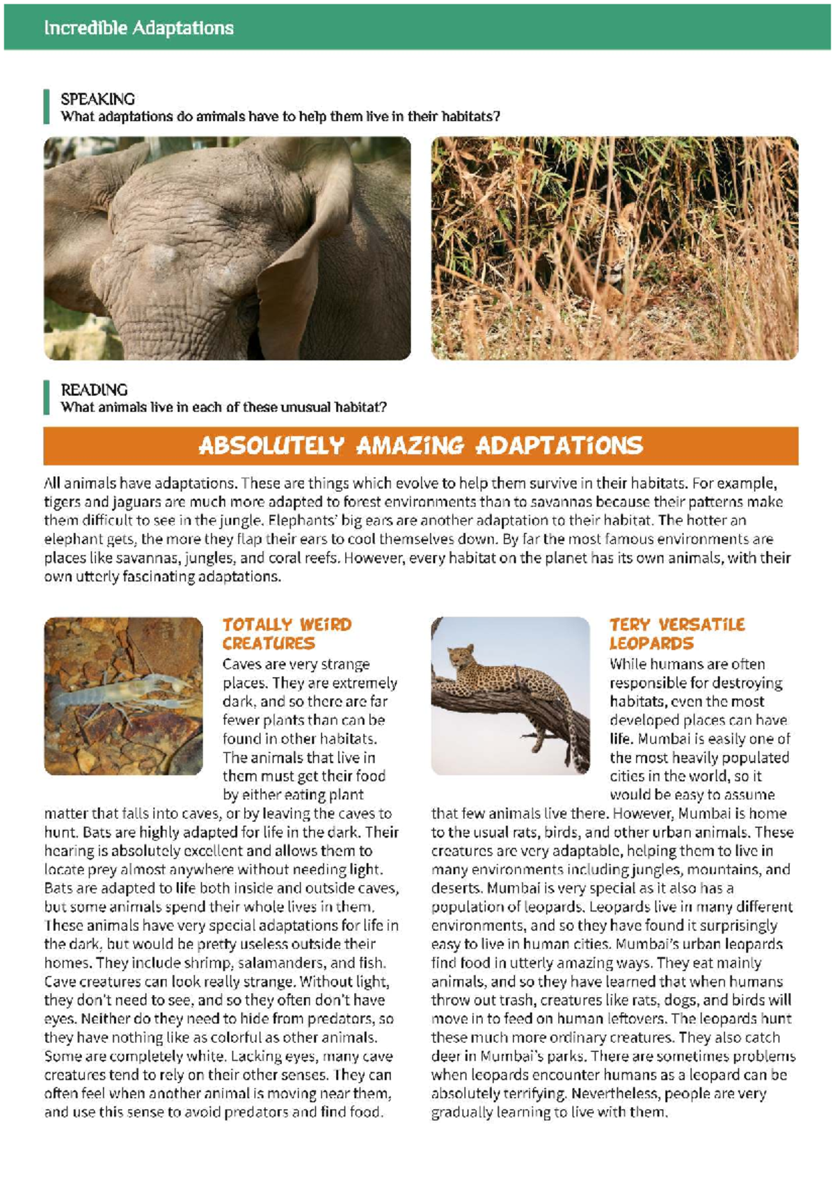 Incredible Adaptations: ST_C1_041 Unusual Habitats & Animal Survival ...