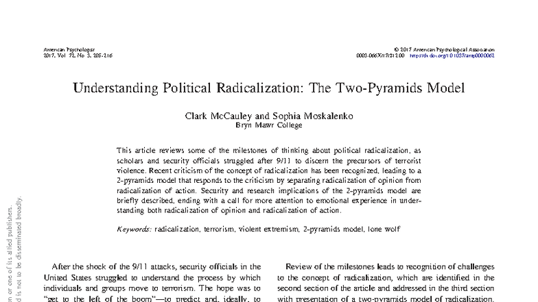 Understanding Political Radicalization: Insights from McCauley ...