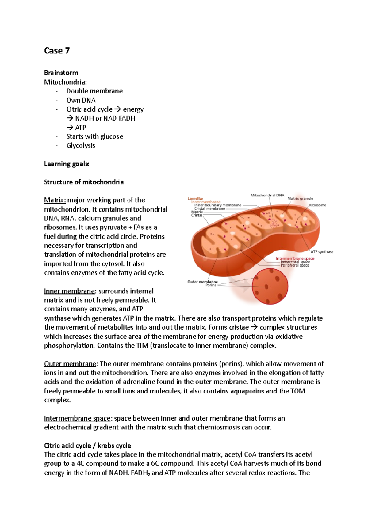 Case Study: Mitochondria and the Citric Acid Cycle (BIO101) - Studeersnel
