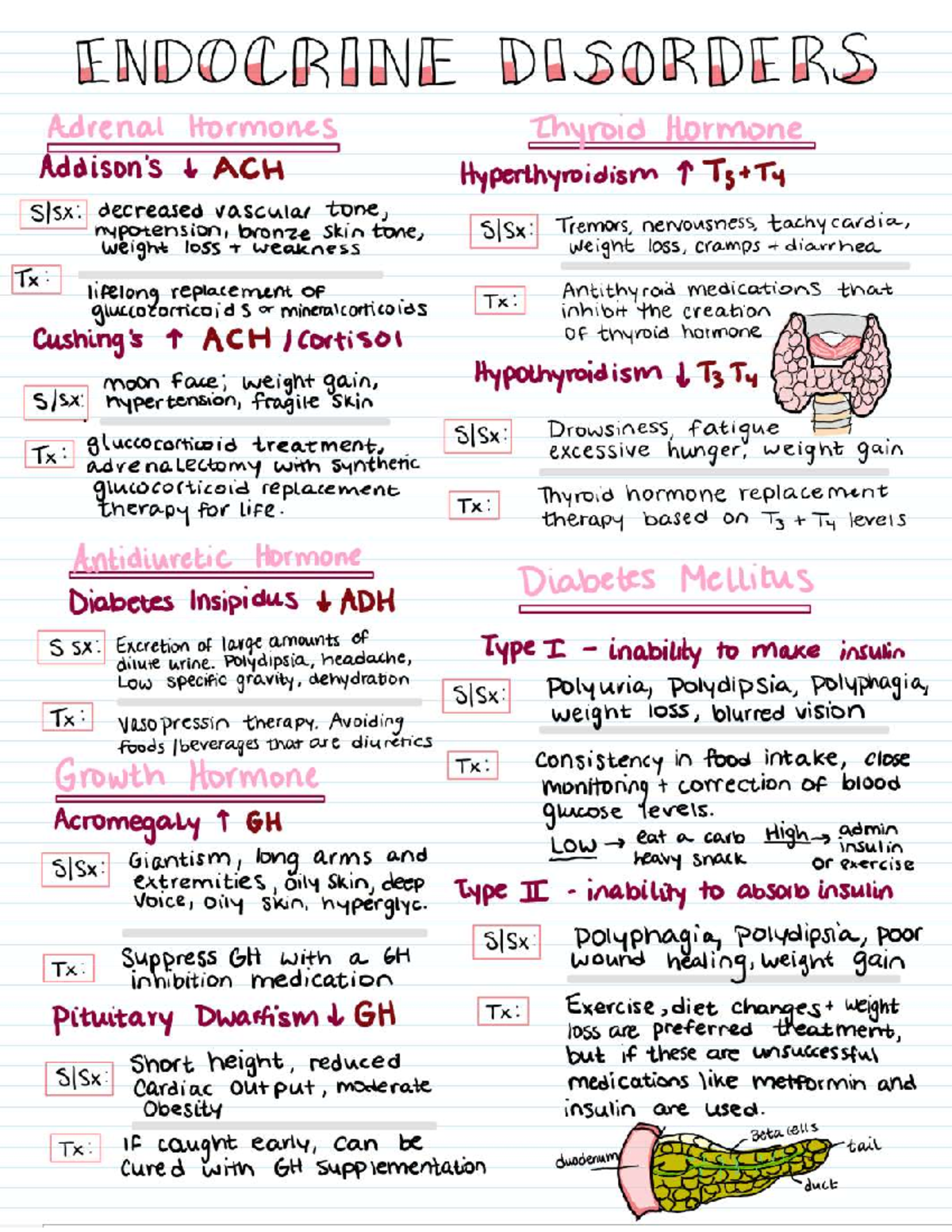 Endocrine disorders Quick Sheet - ENDOCRINE DISORDERS Adrenal Hormones ...