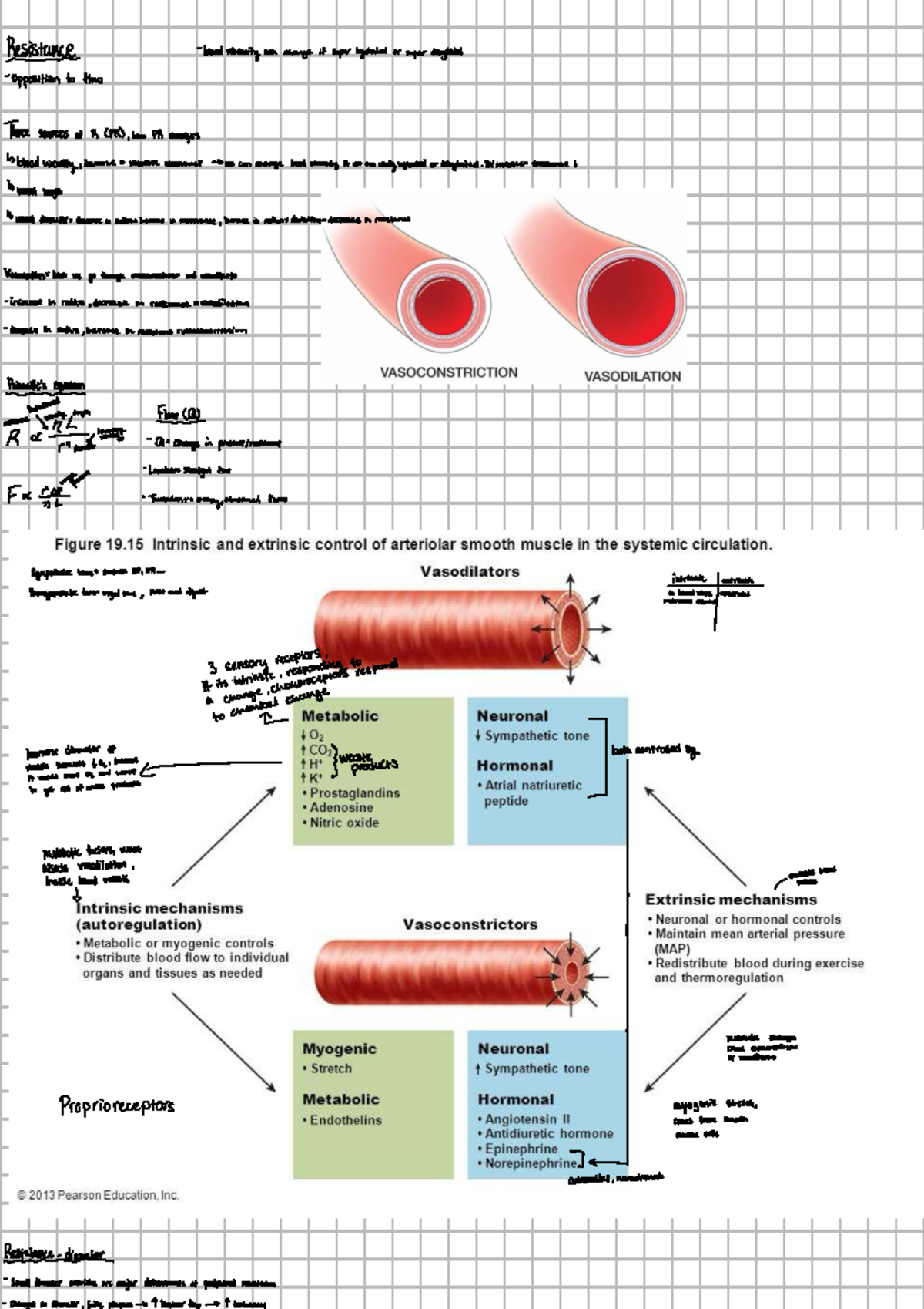 Physiology of Blood Viscosity and Resistance: Final Exam Notes (BIO 101 ...