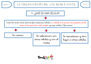 Tema 1: Introducción a los Seres Vivos y su Interacción con el Medio ...