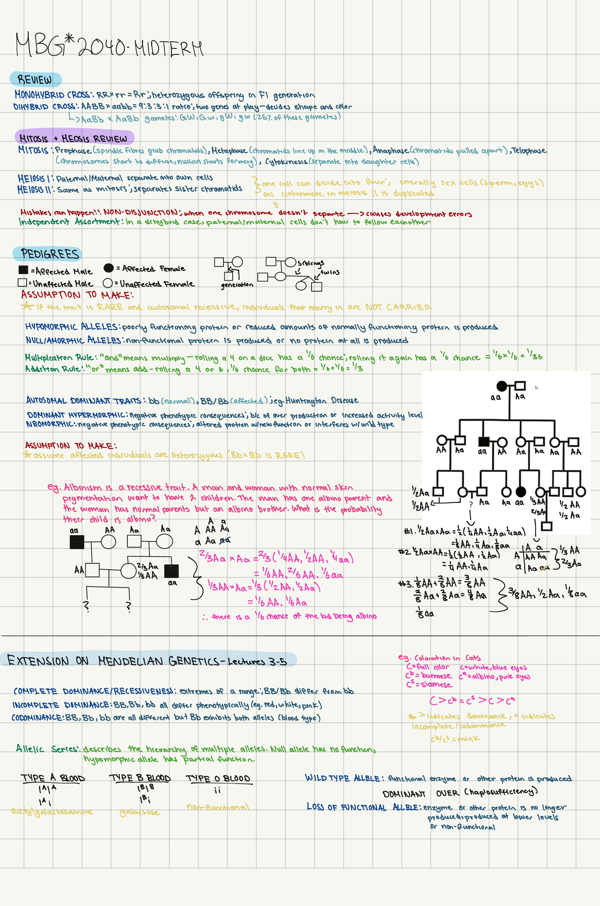 MBG2040 Midterm Notes - Mbg2040 - Studocu