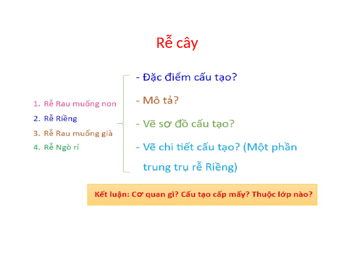 Giải phẫu rễ, thân, lá trong thực hành thực vật - Môn THU001 - Studocu