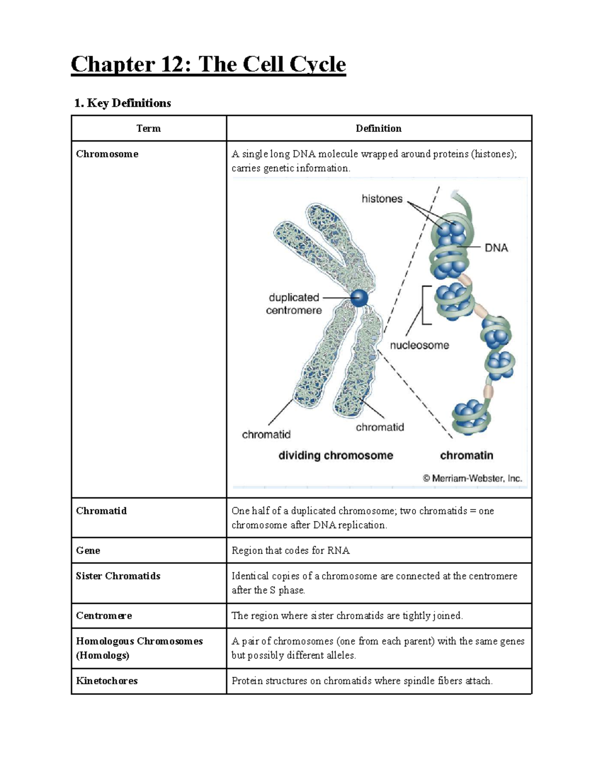 Cell Cycle Overview: Key Concepts and Mitosis Stages (BIO101) - Chapter ...