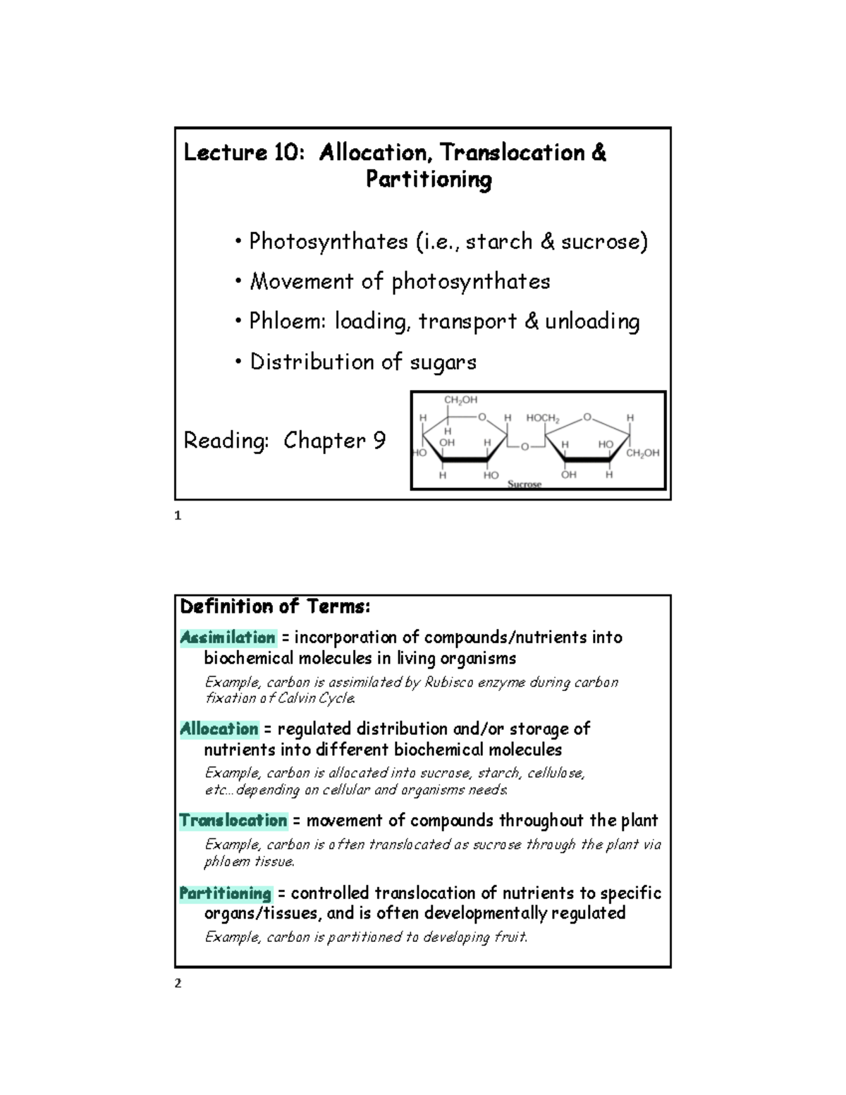 Lecture 10: Allocation, Translocation & Partitioning of Photosynthates ...