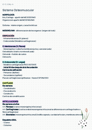 Facial muscles - Muscle group Name Function Irrigation Innervation ...