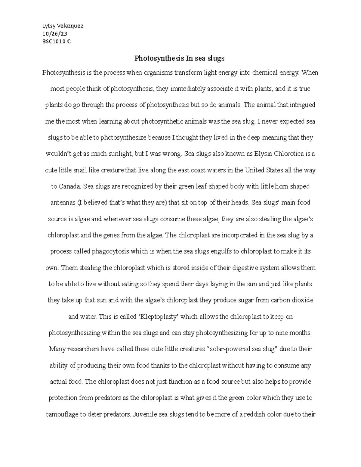 Photosynthesis In sea slugs - Lytsy Velazquez 10/26/ BSC1010 C ...