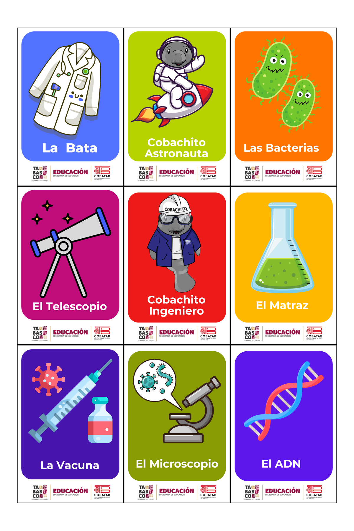 Tarjetas-loteria-Ciencia CBT - Sexualidad Humana - La Bata Cobachito ...