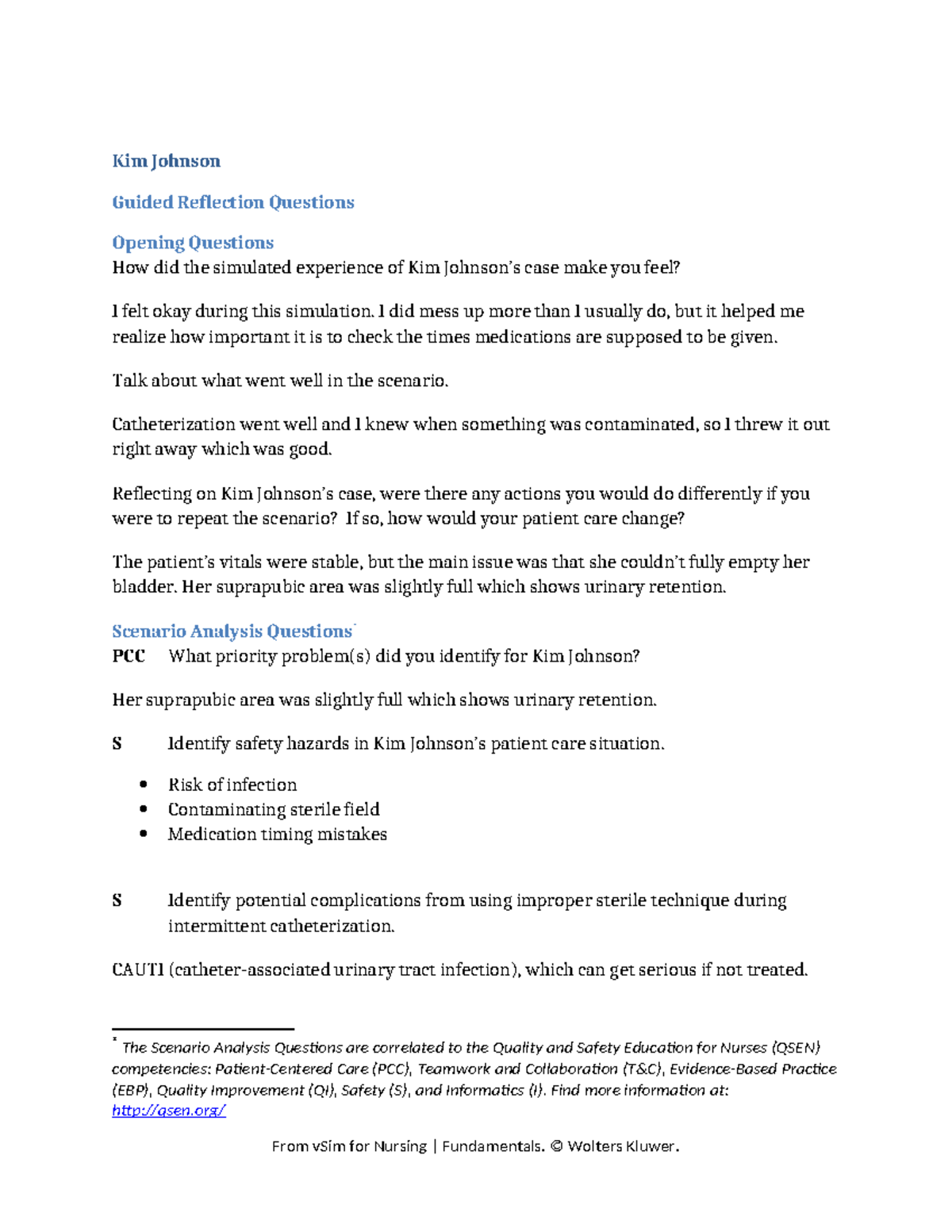 V Sim2.0 Fundamentals: Kim Johnson Guided Reflection Questions Final ...