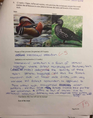 Bio1130 cladogram lab - Lab: Vertebrate Phylogeny- Cladogram Report BIO ...