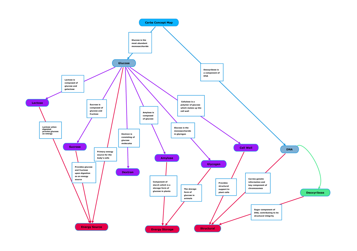 Carbs Concept Map: Key Structures & Functions of Carbohydrates - Studocu