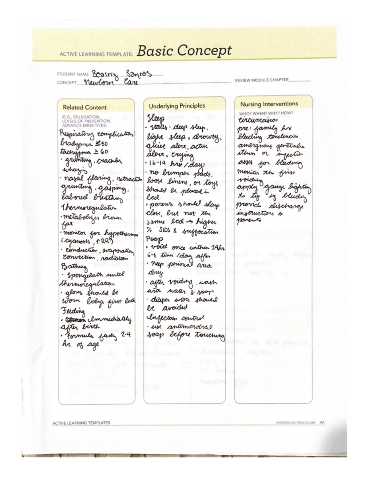 Basic Concept ati active learning template - ACTIVE LEARNING TEMPLATE ...