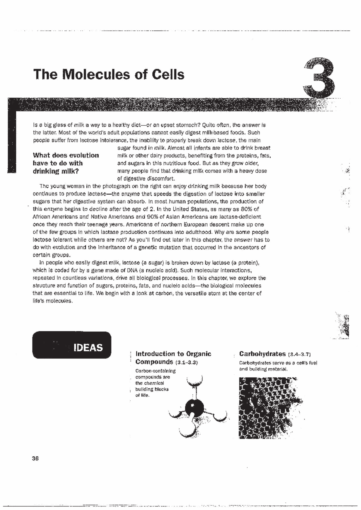 Title: BIO 101 Chapter 3: The Molecules of Cells - Review and ...