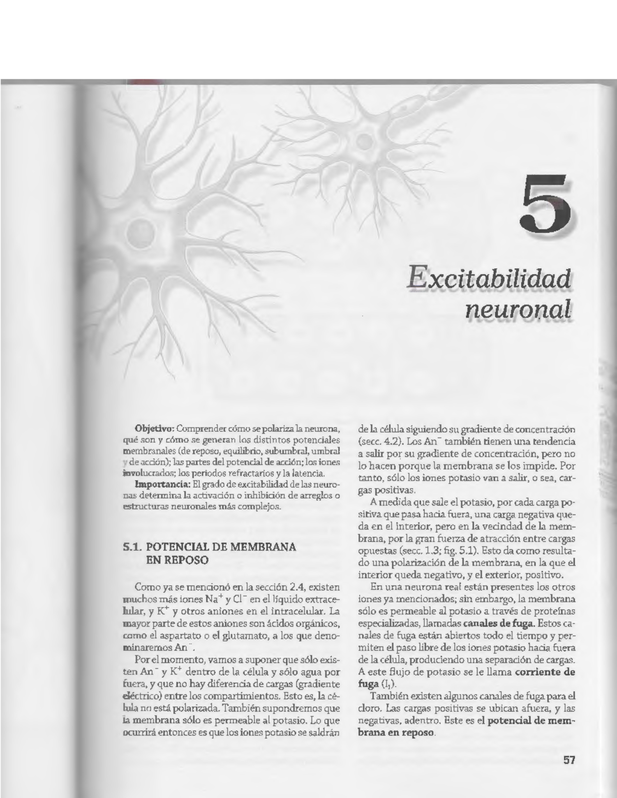 Cap. 4: Excitabilidad Neuronal y Potenciales de Membrana - Studocu