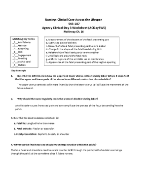 Chapter 1 Overview of Coding - Notes - CPT Coding Chapter 1 Overview of ...