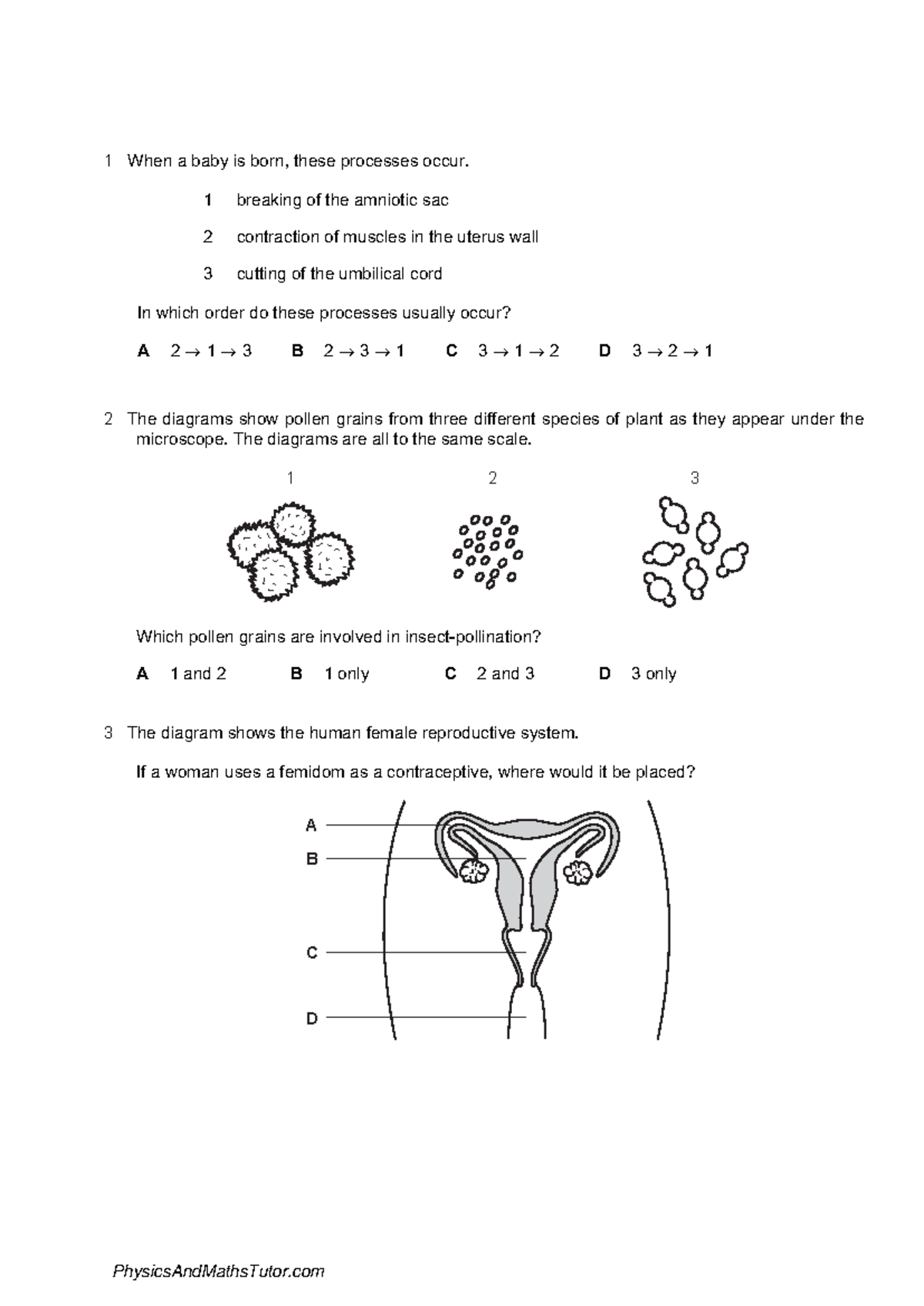 Biology 101: Practising Past Exam Papers on Reproduction & Germination ...