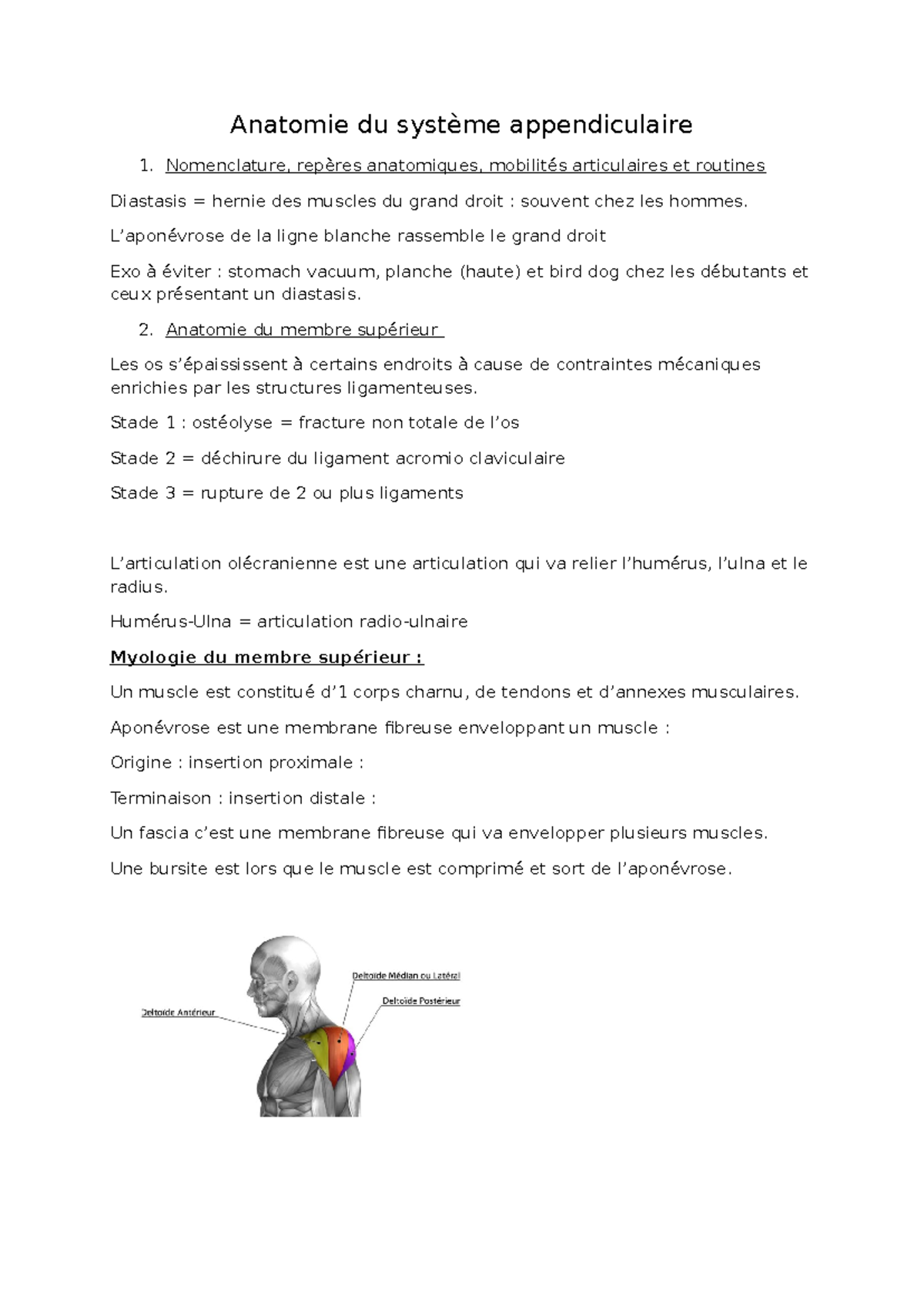 Anatomie du Système Appendiculaire : Mobilités et Exercices Pratiques ...