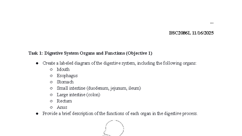 BSC2086L Anatomy 2 Lab: Digestive System Overview and Functions - Studocu