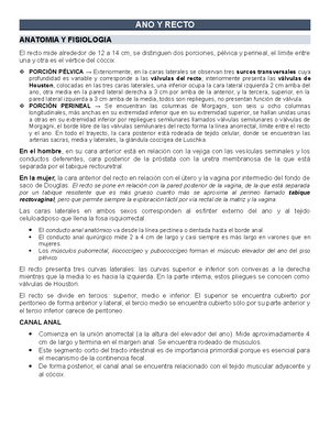 Recto y ano - Resumen Gastroenterología - a) Anatomía y Fisiología ...