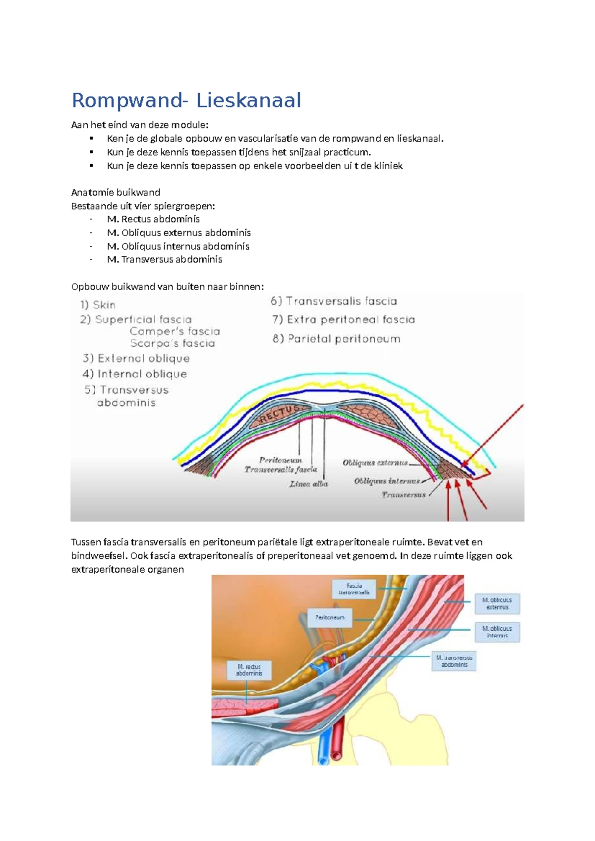 Latijnse benamingen (MPA) - Latijnse benamingen ORIENTATIE: Ventraal ...