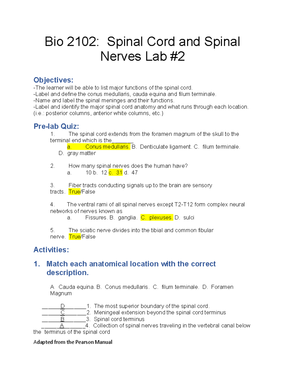 Bio 2102: Post Lab #2 - Spinal Cord & Nerves Objectives and Activities ...