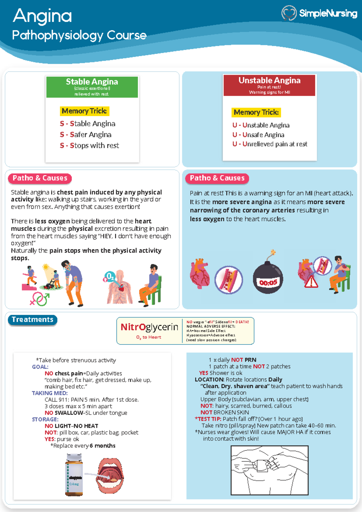 Angina Pathophysiology: Stable vs. Unstable Overview - Studocu