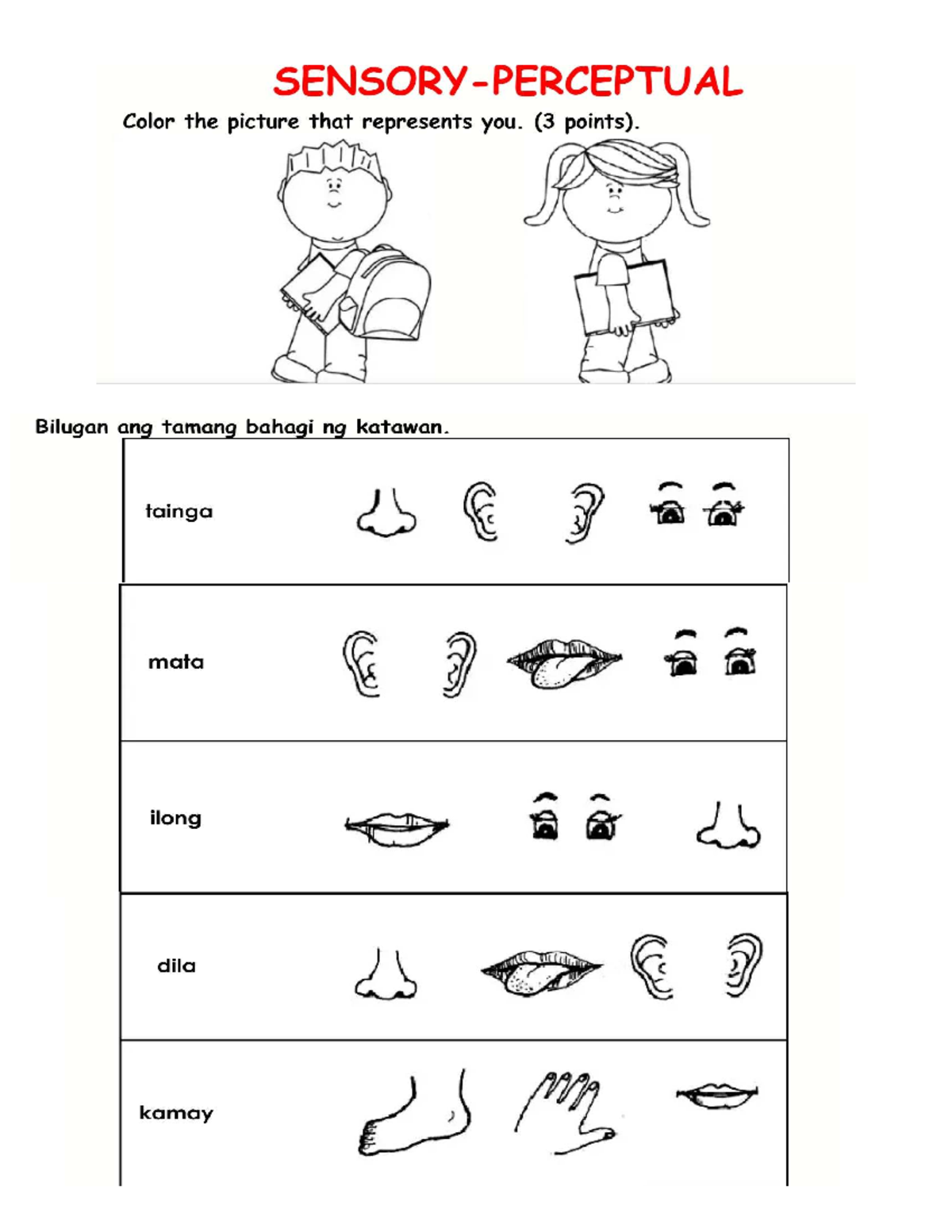 Assessment Test: Color and Identify Body Parts (3 pts) - Studocu